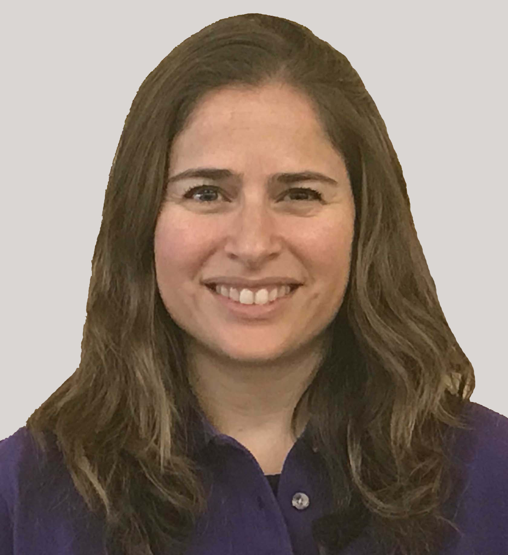 Lisa Berman - Sheltering Arms Institute